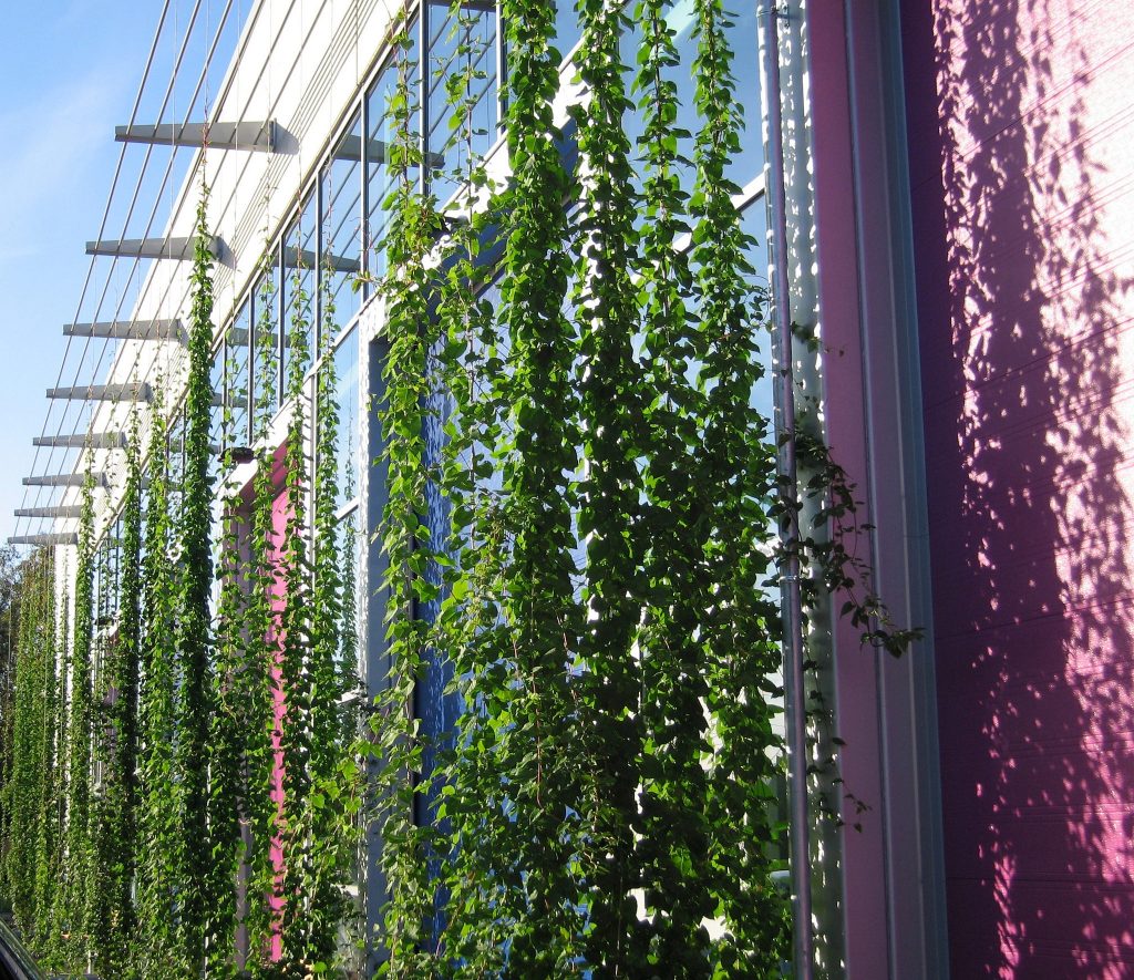 Borgund vgs - Skylstad Arkitektur as